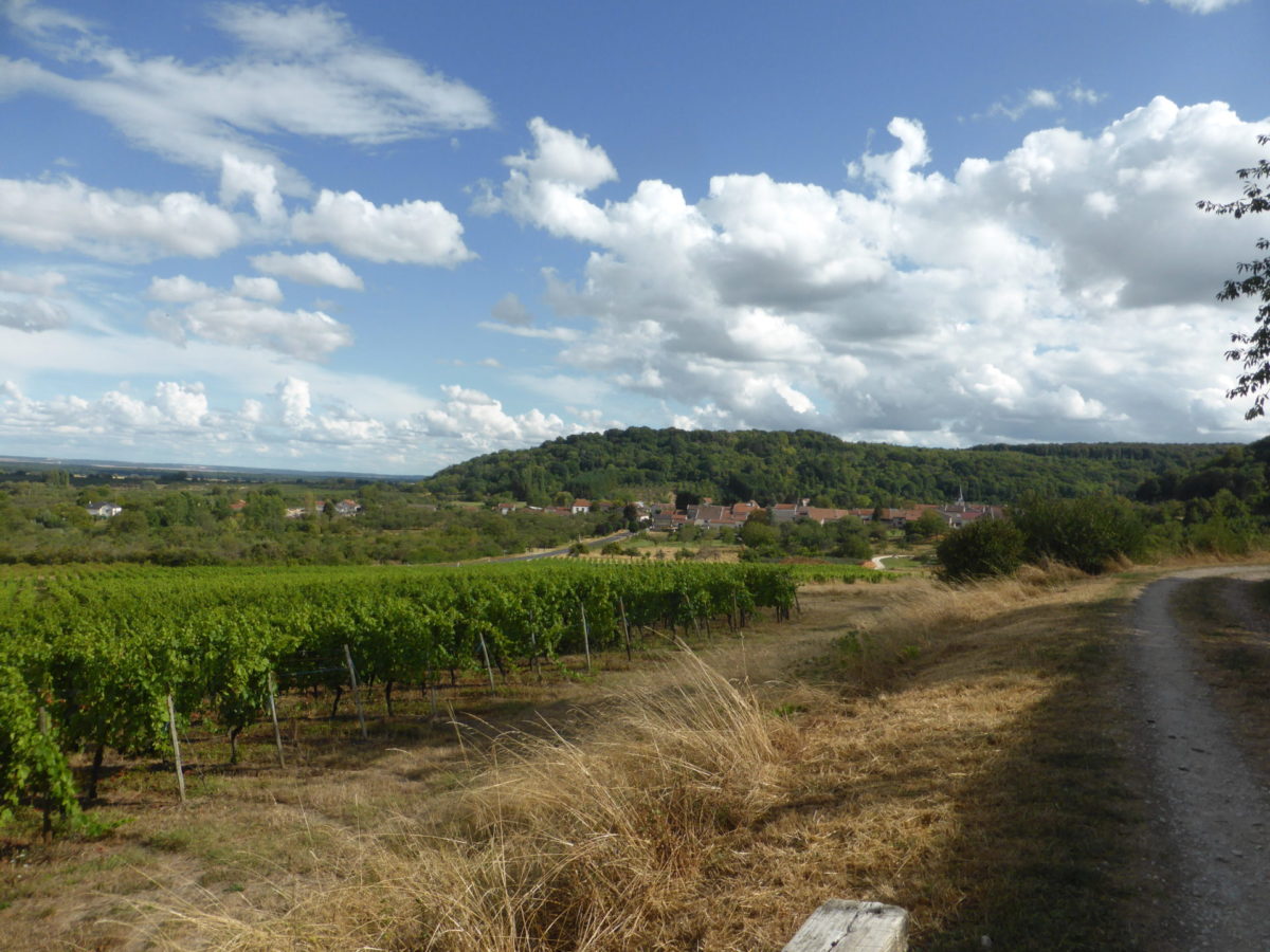 GR de Pays de la Woëvre - My Blog